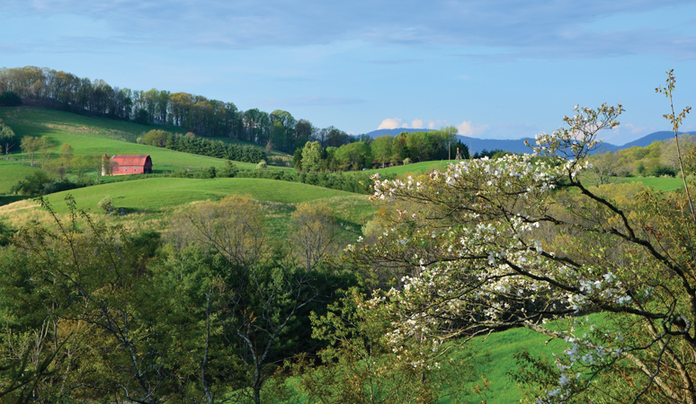 Farming NC: Exploring agribusiness, one-two punch - Business North Carolina